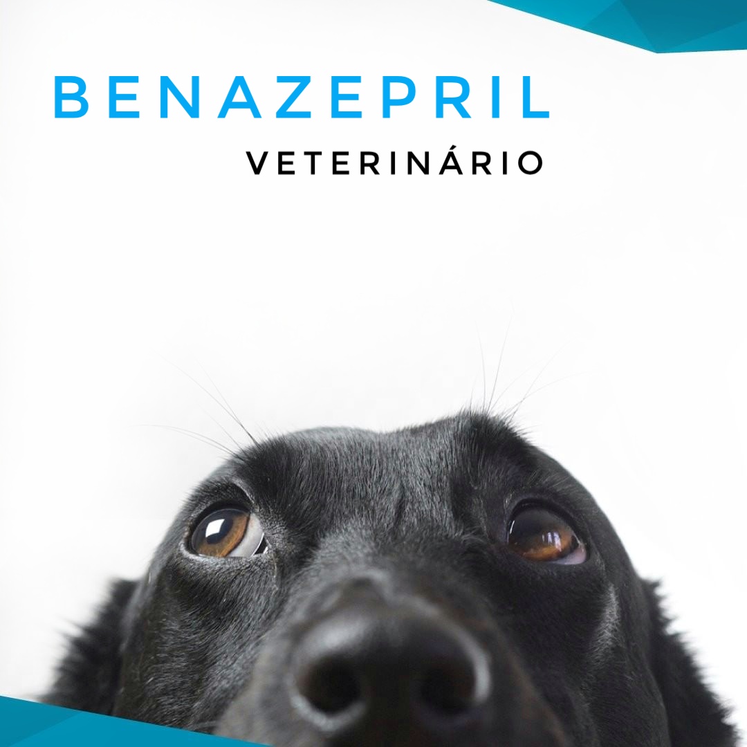 BENAZEPRIL Anti-hipertensivo e vasodilatador Anti-hipertensivo e ...